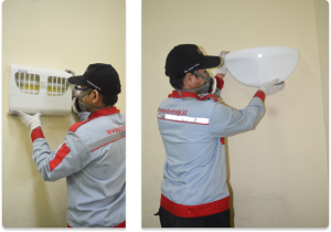 Strategic PestControl - Alat Perangkap Lalat Terbaik