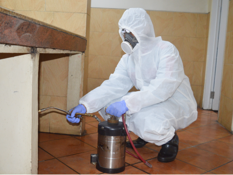 Jasa Pest Control: Panduan Lengkap Memilih Pest Rodent Control