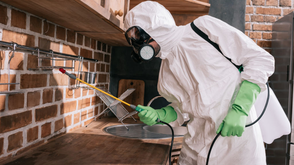 Jasa Pest Control: Panduan Lengkap Memilih Pest Rodent Control